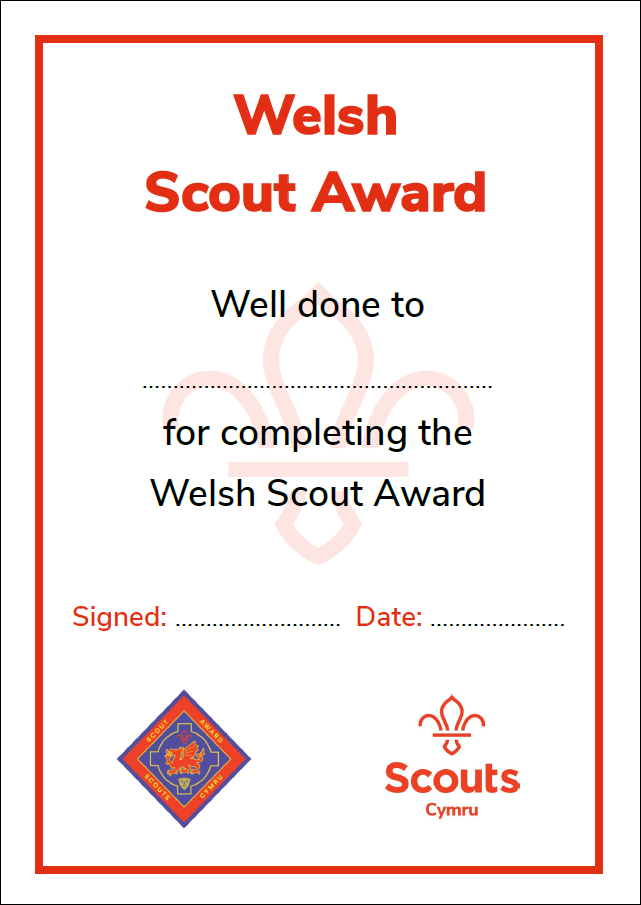 Welsh Scout Awards | Mossy Resources